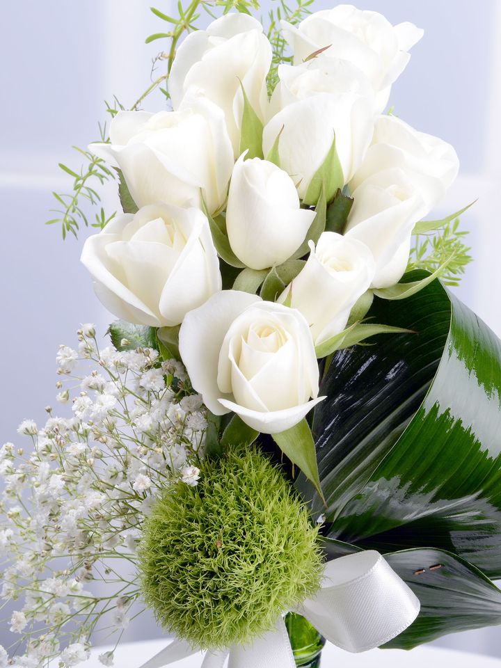 En Güzel Hikayem Beyaz Güller | Aranjmanlar